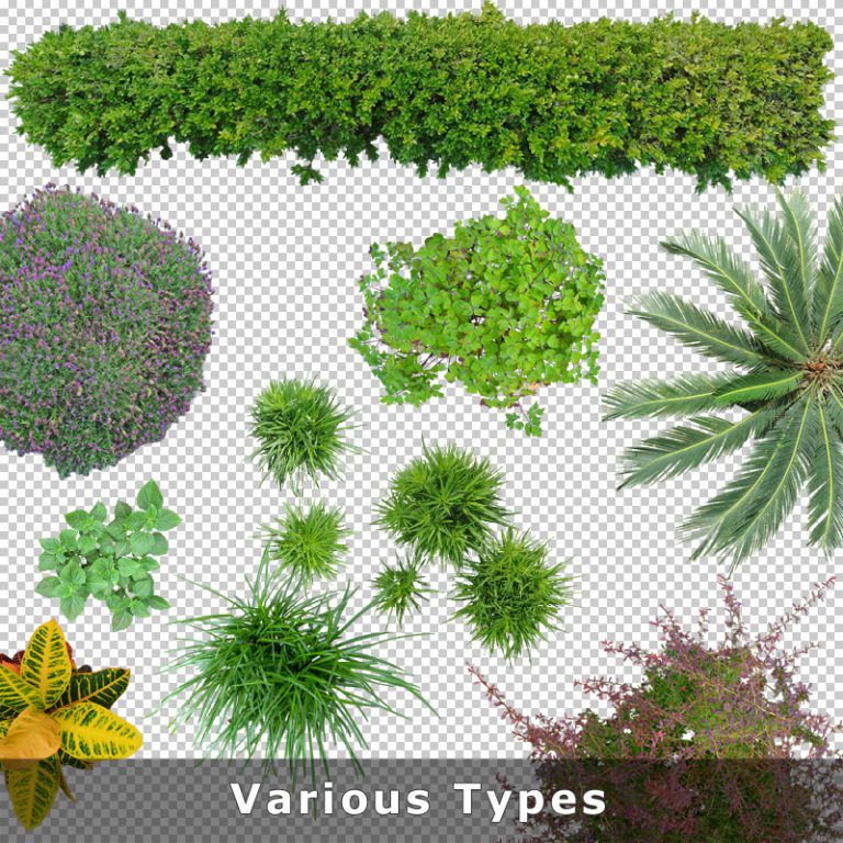 Top View Plants V2 – Freigestellte Pflanzen 2D Grundriss Architektur ...