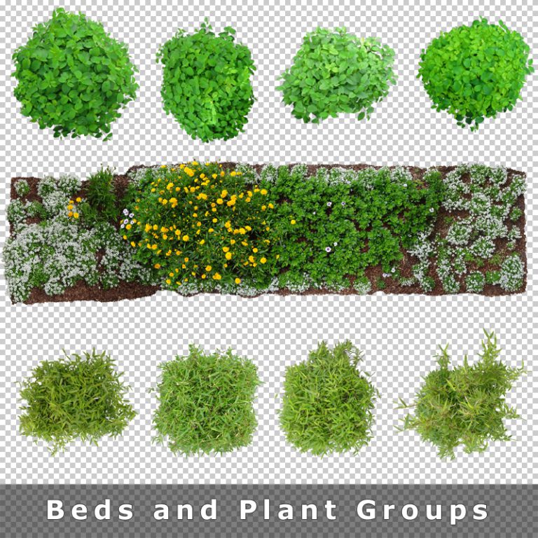 Top View Plants V2 – Freigestellte Pflanzen 2D Grundriss Architektur ...